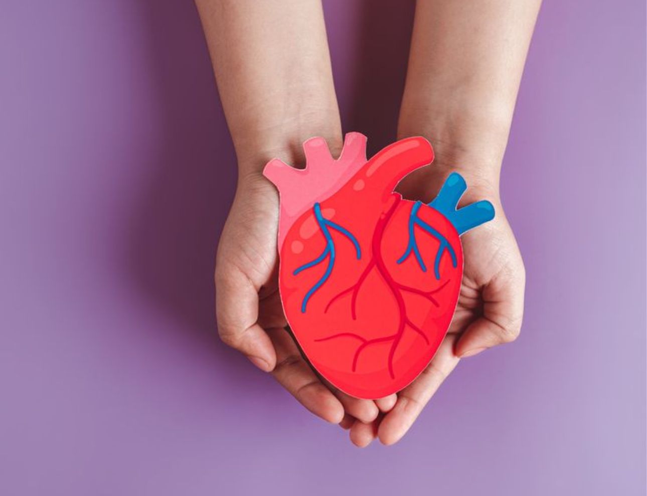 How Summer Heat Affects Your Heart: Precautions for a Healthy Heart ...