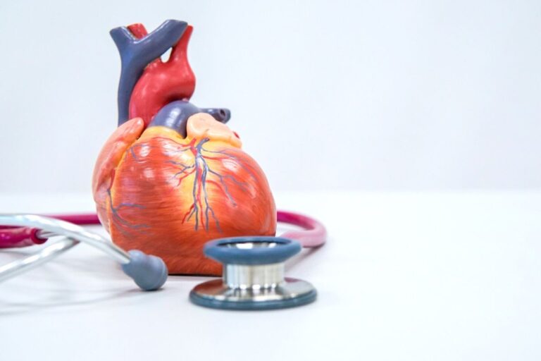 TAVI/TAVR Treatment Explained: Risks, Recovery & Outcomes